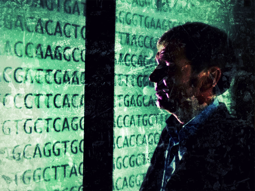 Dr Mark Evans - TV Portfolio