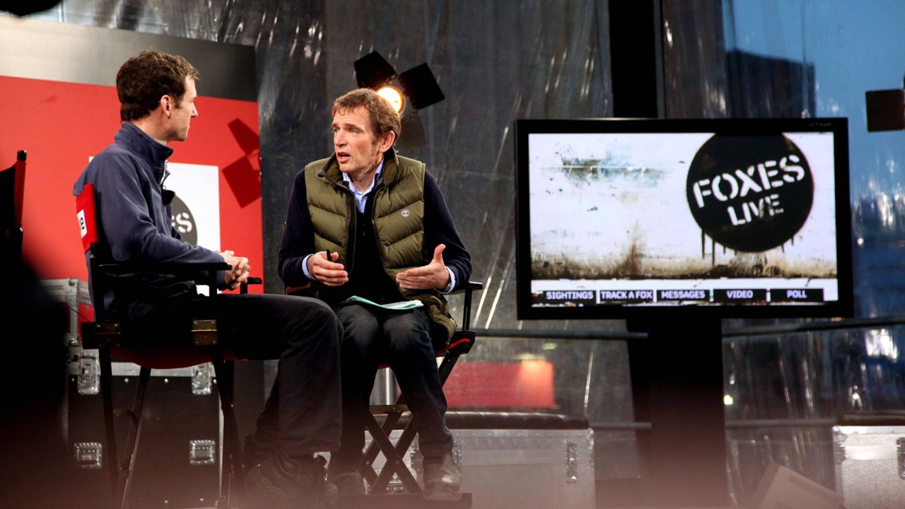 Foxes Live - Dr Mark Evans - TV Portfolio