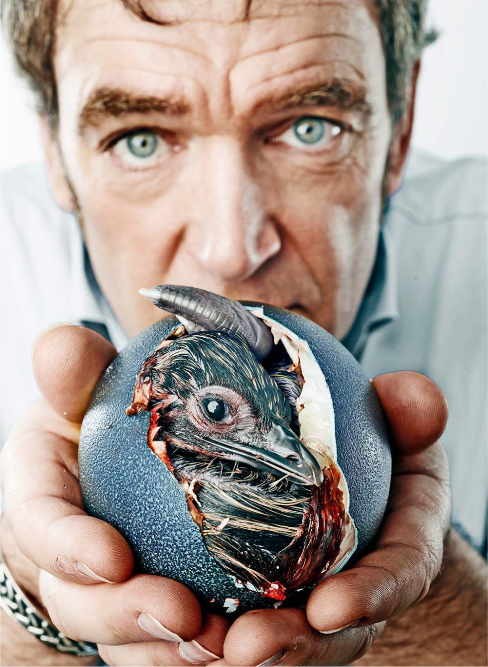 Contact - Dr Mark Evans - TV Portfolio