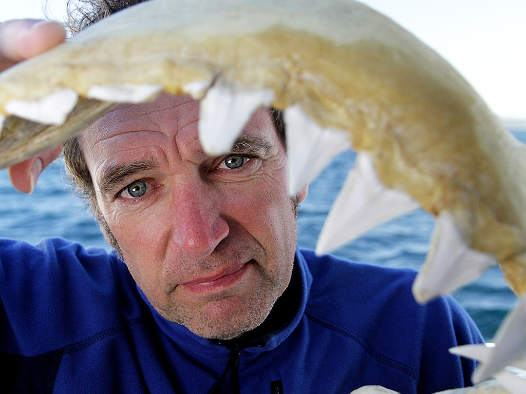 Dr Mark Evans - TV Portfolio